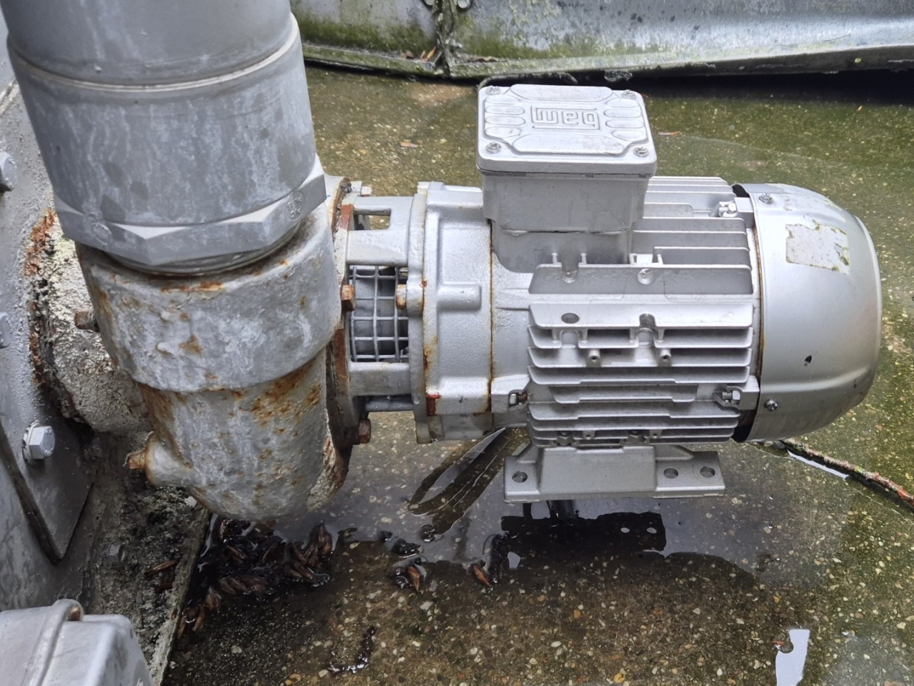 Used Baltimore CXV 184 R evaporating condenser | HOS BV